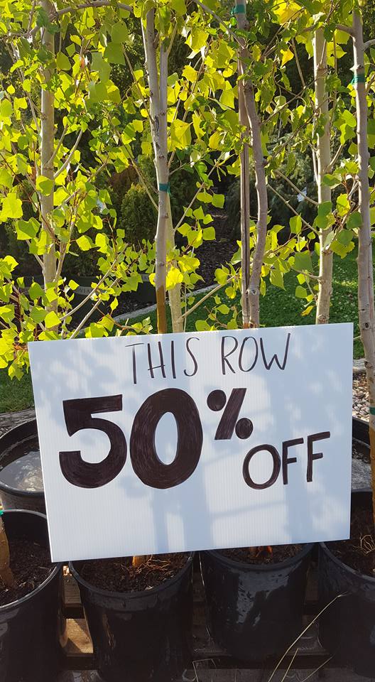 50% off trees - Lomond View Nursery
