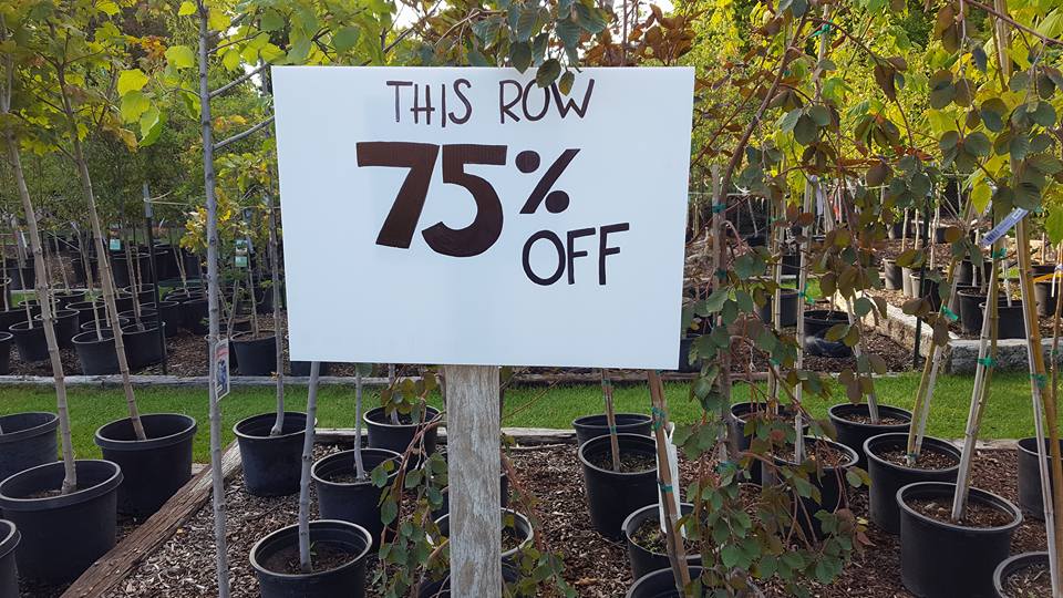75% off trees - Lomond View Nursery